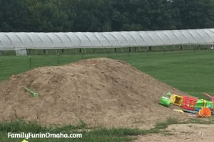 The Sunflower Farm Near Omaha Families will Love | Family Fun in Omaha